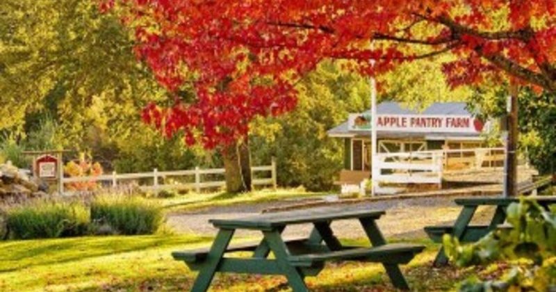 Apple Ridge Farms | Visit Rancho Cordova