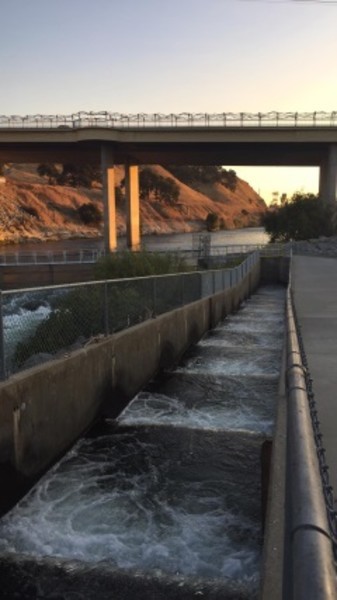 Nimbus Dam and Fish Hatchery | Visit Rancho Cordova